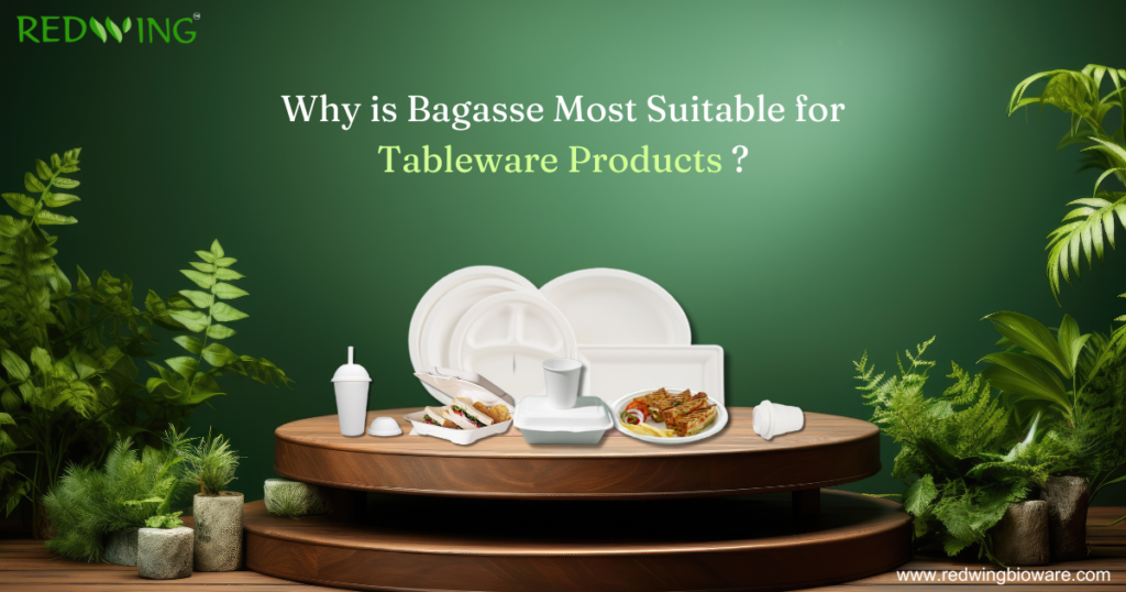 Why is Bagasse Most Suitable for Tableware Products? - Redwing Bioware