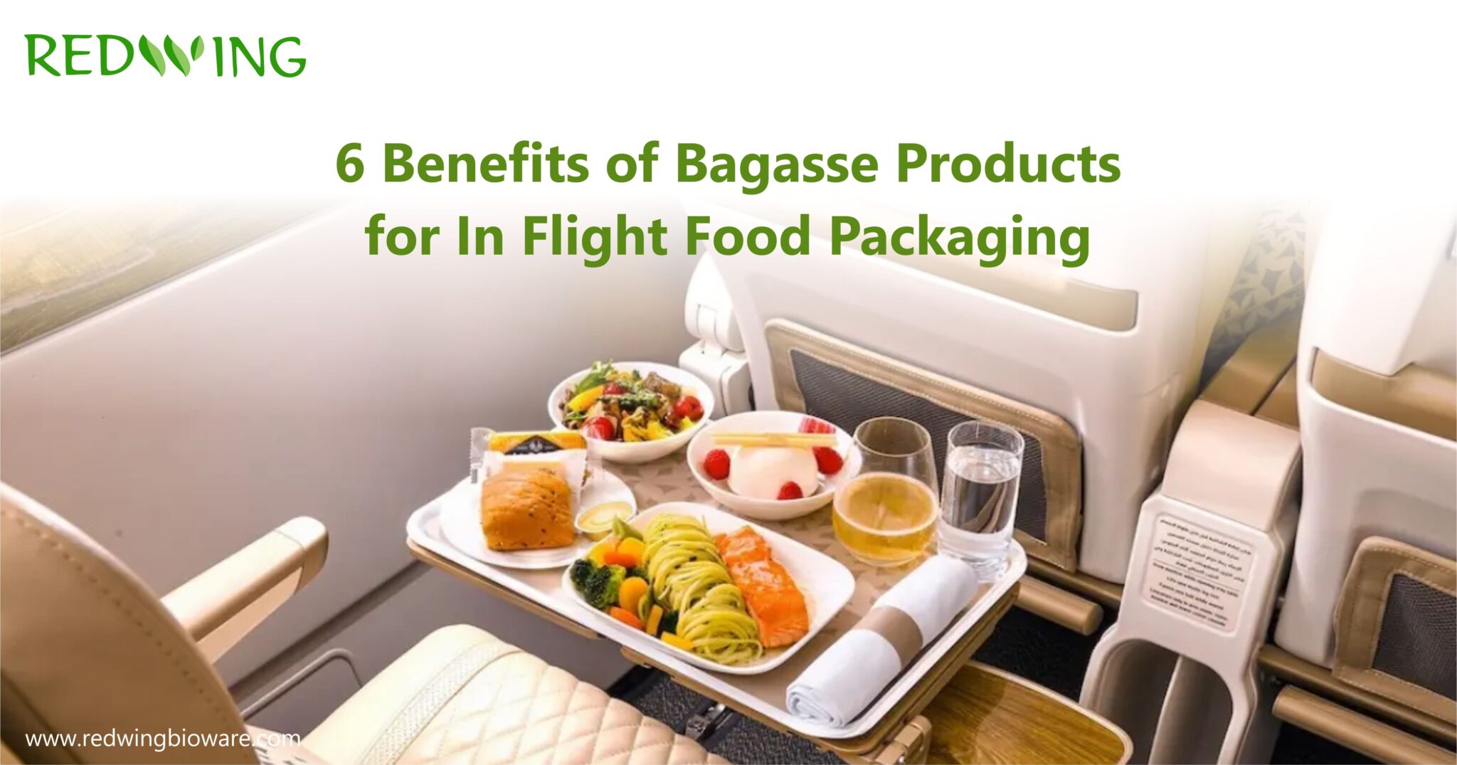 Top 6 Reasons to Use Bagasse Packaging on Flights